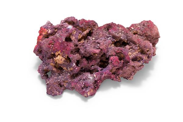 Carib Sea Life Rock Original - Swiss Reef Alliance