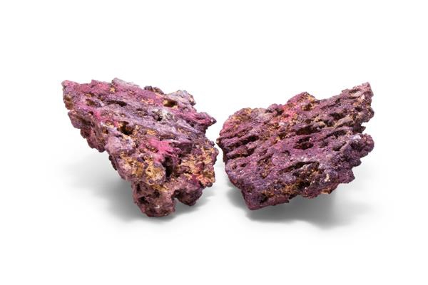 Carib Sea Life Rock Original - Swiss Reef Alliance