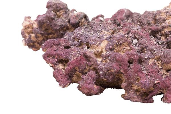 Carib Sea Life Rock Original - Swiss Reef Alliance