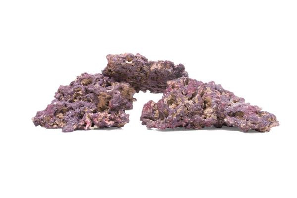 Carib Sea Life Rock Original - Swiss Reef Alliance